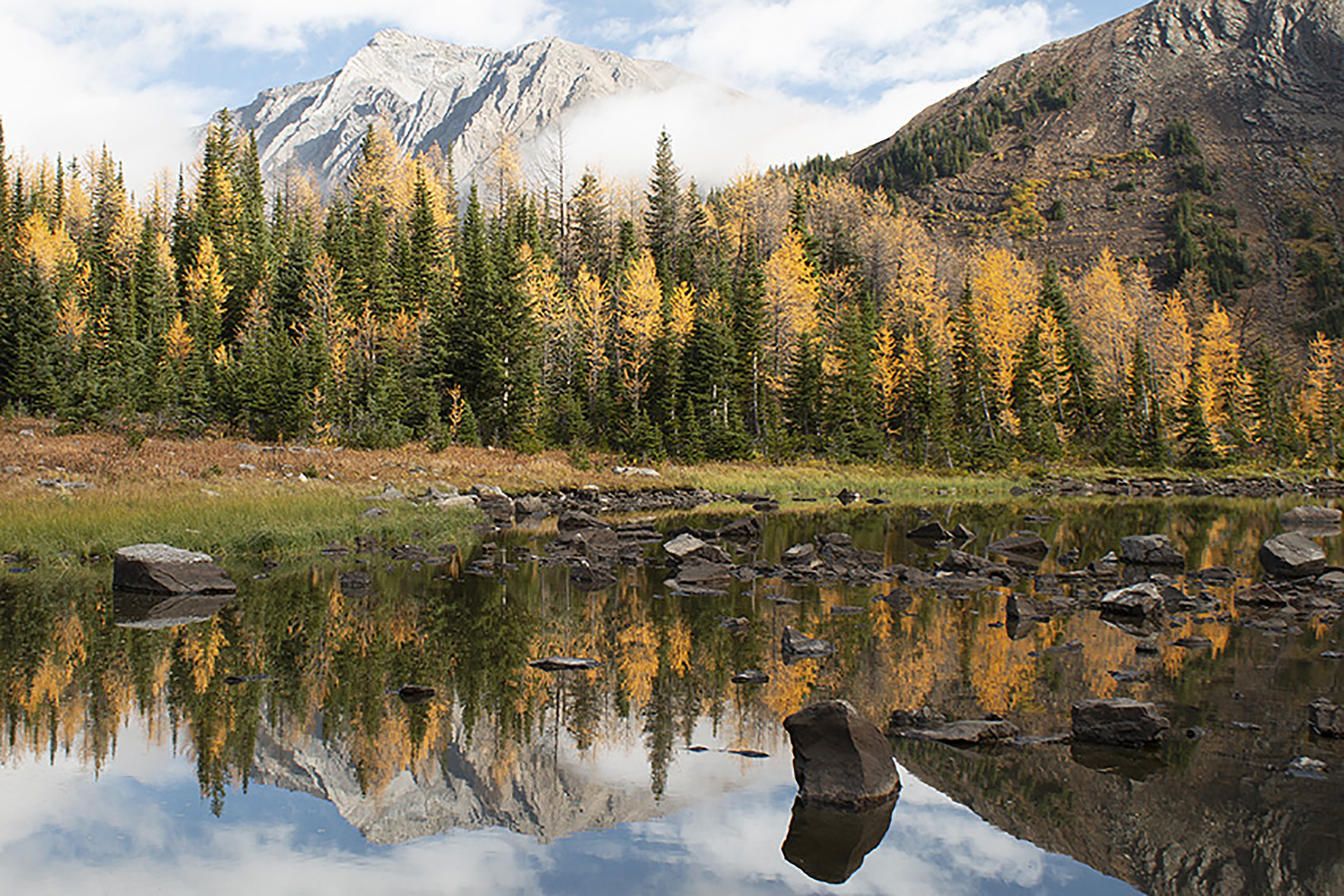 Books by Mike Potter – Michael W Potter